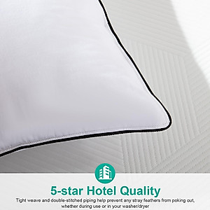 APSMILE Medium Firm Feather Down Pillows Standard Size Set of 2, Luxury Feather Pillow for Sleeping, Organic Cotton Cover Hotel Collection Bed Pillow (White, 20"x26")