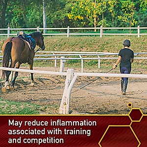 Vita Flex Pro Equinyl Joint Formula with Hyaluronic Acid, 60 Day Supply, 3.75 lb.