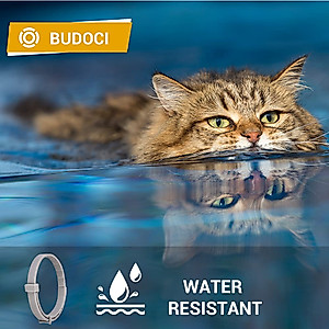 BUDOCI Pet Flea Collar Small Size Flea and Tick Prevention for Cats, 2 Pack Flea and Tick Collar for Cats, 38cm/15 inch, 8 Month Protection