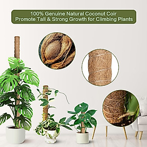 Homeyeco Moss Pole for Plants, 4PCS 17” Stackable Moss Poles, 53” Super Stable Rot-Proof Moss Pole Monstera Plant Support, Plant Stakes with Garden Label, Jute Rope, Moss Net& Iron Stick Support