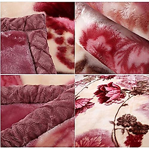 LGYKUMEG Mink Fleece Throw Blanket 59" × 79" - 2 Ply Reversible Silky Soft Plush Warm Blanket for Autumn Winter 4.4 Lb /2kg.
