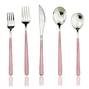 JASHII 20-Piece SUS304 Stainless Steel Flatware Set, Mirror Polishing Dinnerware Set Service for 4, Knife/Fork/Spoon/Dessert Spoon/Dessert Fork (Pink silver)