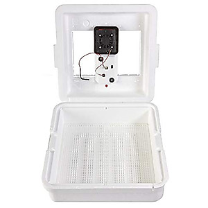 Little Giant® Digital Still Air Incubator | 41 Eggs | Egg Incubator with Temperature and Humidity Control | Chick Incubator