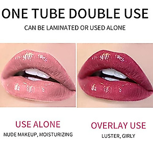 Rosarden Shimmer Hydrating Lip Gloss - Moisturizing Glossy Lip Gloss - Lip Plumping Gloss - Plumping Lip Oil- Non Sticky Lip Gloss - Waterproof & Long Lasting Lip Gloss - Pink Lip Gloss for Women