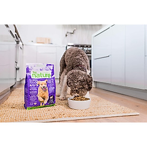 By Nature Pet Foods Grain Free Dog Food Made in USA [Grain Free Dry Dog Food with Superfood Ingredients for Food Sensitivities and Immune Health], Lamb & Turkey Meal Recipe, 24 lb. Bag, Brown (77072)