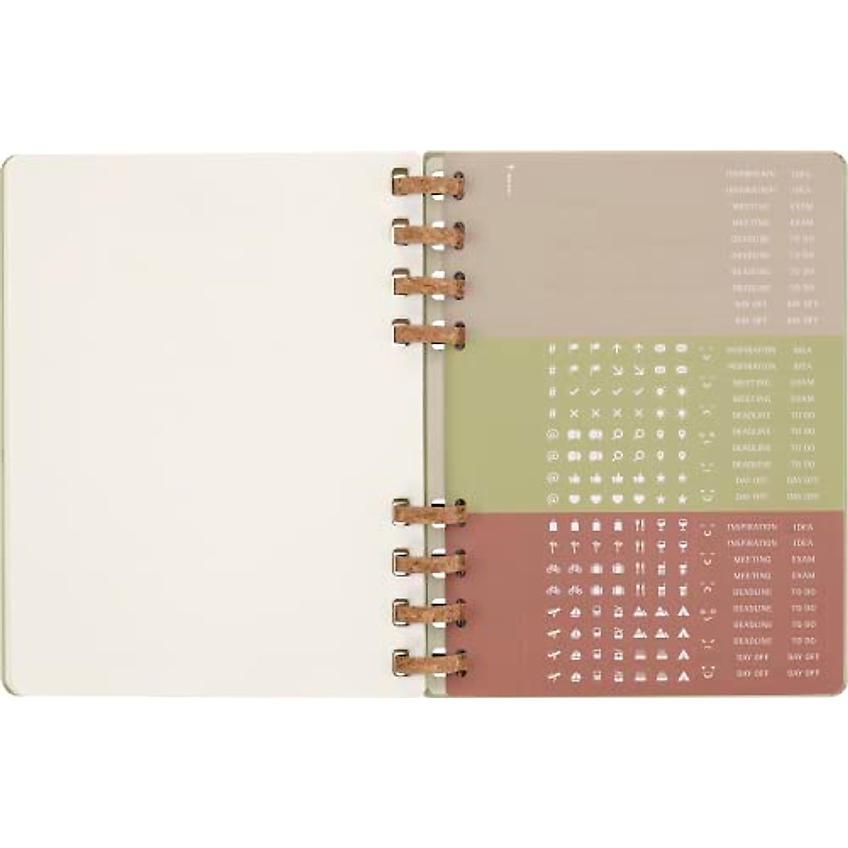 Moleskine 2024 Spiral Academic Planner, 12M, Extra Large, Crush Kiwi, Hard Cover (7.5 x 10)