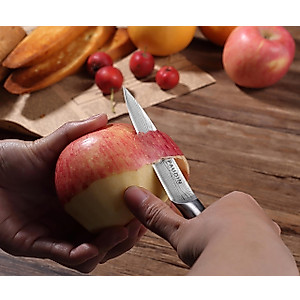 PAUDIN Boning Knife + Paring Knife