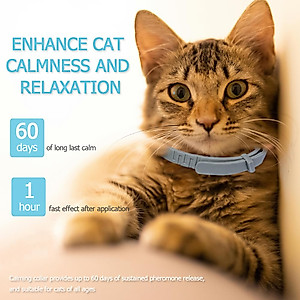 Cat Calming Collar for Cats Pheromones Anxiety Relief Calming Collar Cat Relaxer 4Pack, 60 Days of Calming Each Collar, Adjustable Size for All Cats for Travel (Grey)