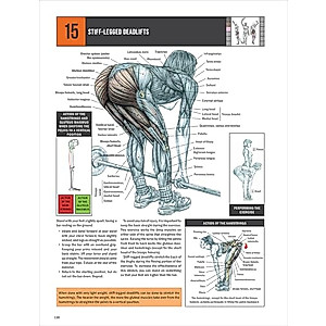 Strength Training Anatomy