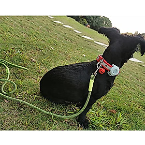 YUCFOREN 7FT Small Dog Leash Lightweight Cat Leash for Little Pets/Puppy/Small Animals/Extra Small Dogs Durable Nylon Walking Training Leash