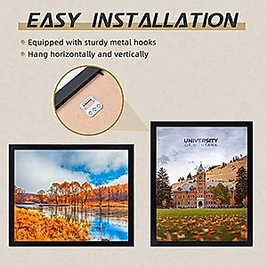 QDSSDECO 16"x20" Picture Frame Black Wood Frame with PS Board Hanging on the Wall Display Picture, Set of 3