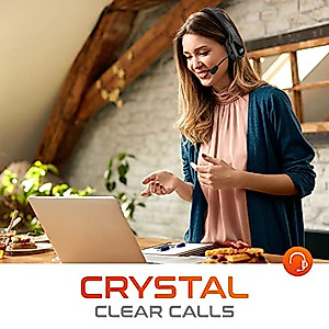 Delton Professional Wireless Computer Headset with Mic | On Ear Bluetooth 5.0 Wireless Headset, 30 Hour All Day Talk Time for Truck Drivers, Home Office, Call Centers (with Bluetooth Dongle, 2-Pack)