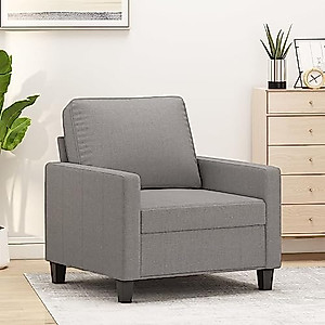 WHOPBXGAD Sofa Chair,Living Room Sofas, upholstered Sofas for Living Rooms, bedrooms, Offices and Apartments,Light Gray 23.6" Fabric