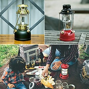 10 Pieces Lantern Mantles 3-Layer Gas Lamp Mantles Gas Lantern Mantles Propane Lantern Mantles Propane Lantern Mantles with 2 Install Clips Gas Lantern Covers Accordion Shape Mantles for Lantern