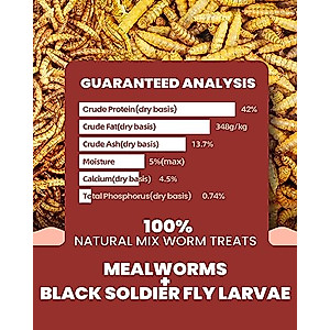 NC Grubsnack 10lbs Dried Mealworms Black Soldier Fly Larvae Mix Treats for Backyard Chickens, Scratch Feed for Backyard Flock Party Poultry Fowl Layers hens with Rich Protein and Calcium