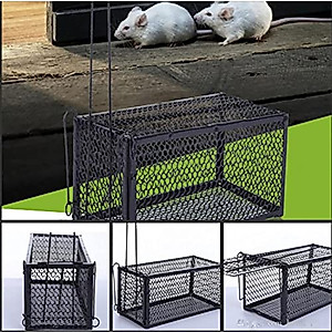 3 Pack Mouse Trap Catch Release Humane Animal Rodent Cage Trap Mice Rats Chipmunks Squirrel Easy to Use