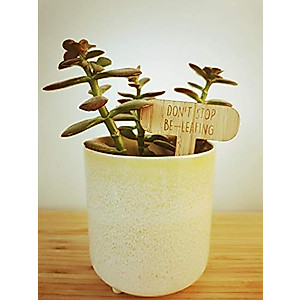 Funny Plant Markers - Joke Punny Garden Stakes - Ideal for That Garden Lover - Indoor Outdoor Plant Label Sign Markers (Joke Set)