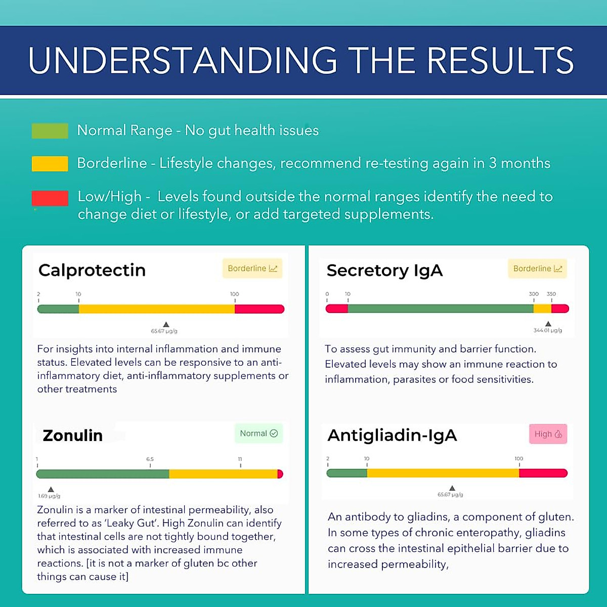 Innovative Pet Lab Comprehensive Gut Health Test Kit for Cats - at-Home Cat Stool Test for Immune & Gluten Sensitivity Symptoms Like Diarrhea, Vomiting, Itchy Skin - Easy Non-Invasive Testing Kit