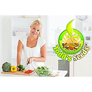Todd's Seeds Broccoli and Friends Sprouting Seed Mix: Broccoli, Crimson Clover, Red Radish, Alfalfa, Non-GMO, Chemical Free, High Germination (1/4 Pound)