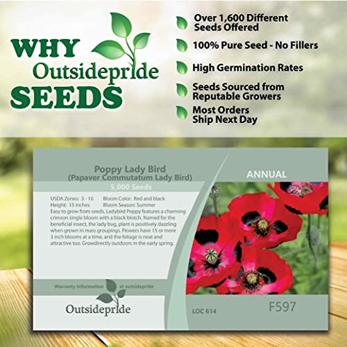 Outsidepride Papaver Commutatum Lady Bird Red Corn Poppy Wild Flowers - 5000 Seeds