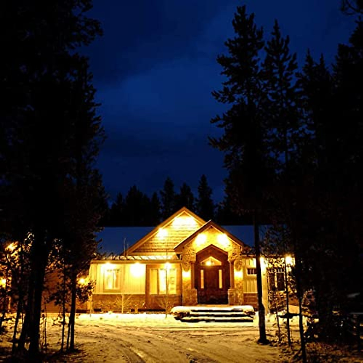 MIHEAL 110V(2 Pack) 100W LED Flood Light, Warm White(2700K), IP68Waterproof Super Bright Security Lights, Outdoor Floodlight for Yard, Garden, Playground, Basketball Court [Energy Class A++]