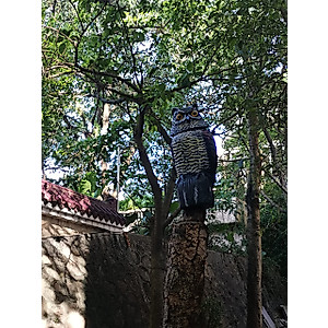 CLEYCYE Fake Owl Scarecrow Sculpture with Rotating Head for Outdoor Garden Yards