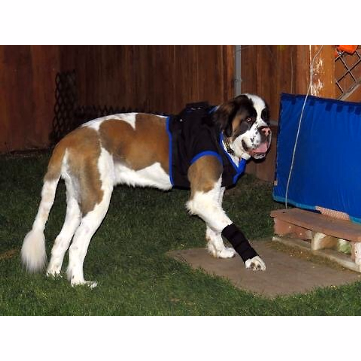 Carpal Wrist Wrap (med/large 4"-6")