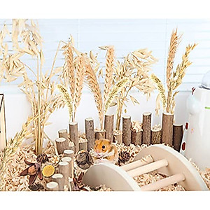 NICERINC PET Natural Ear of Grain Flower&Herb Bedding Mate Habitat Decor, Adding Fun Hamster Accessories for Hamsters Gerbils Lemming