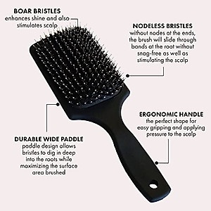 Boar Bristle Brush by Everlong Hair, Boar & Nylon Bristles Adds Shine & Promote Hair Growth, Scalp Massage & Detangling, Safe for All Hair Types Extensions & Wigs, Matte Black Coated Ergonomic Handle
