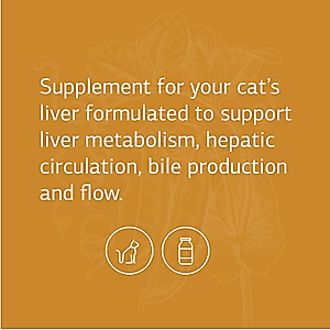Standard Process Feline Hepatic Support - Cat Health Supplement for Liver Support - Hepatic Circulation & Liver Metabolism Aid - Tablet Supplement to Aid Hepatic Immune Function - 90 Tablets