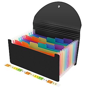 Expanding File Folder with Labels, 13 Pocket Accordion Document, Portable Accordion Filing Folder for Letter A4 Paper Document, Papers Letter Size, Black