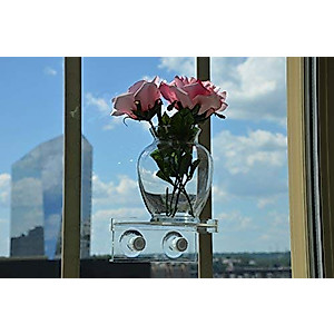 LaBrinx Designs Small Suction Cup Shelf - Live Plants, Windows, and Bathrooms