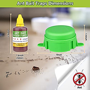 Ant Traps Bait Indoor,Ant Traps Killer Indoor Outdoor,Effective Liquid Ant Bait Killer,Ready-to-Use Ant Bait Traps Indoor,Kills Common Household Ants,Ants Killer for House,Kitchen,Garage,Garden