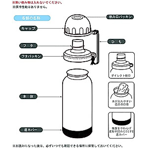 Skater SSSC6-A Single Layer Stainless Steel Bottle, 20.9 fl oz (580 ml), Room Temperature, Health, For Drinks, My Neighbor Totoro, Strawberry, Studio Ghibli
