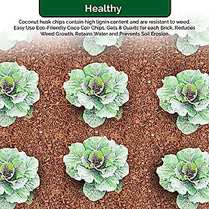 UBICON Easy Use Coco Coir Organic Top Soil; Each Brick Gets 7 Quarts, Excellent Aeration, Reduces Weed Growth, and Retains Water (4)