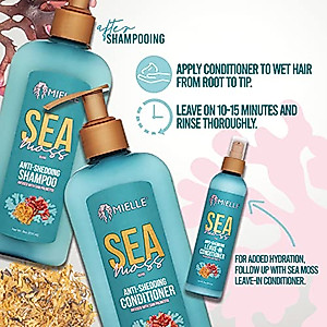 Mielle Organics Sea Moss Anti-Shedding Conditioner
