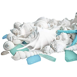 Real Mixed Beach Seashells with Blue & Green Starfish & Aqua and Blue Sea Glass | White Decorative Sea Shell Décor & Blue Seaglass Pieces | Seashell Wedding | Plus Free Nautical eBook by Joseph Rains