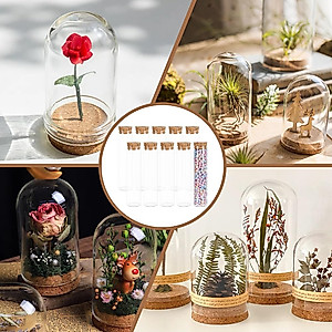 BENECREAT 10 Pack 60ml Glass Test Tube with Cork Stopper Clear Flat Mini Glass Bottles Jars for Wedding Party Favors, Candy, Spices, Beads, Mother's Day Home Decor