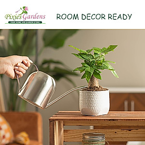 Pixies Gardens New Platic Artificial Flower Bonsai Tree Pot Culture Miniature Tree for Office Desk Home Living Room Furnishings Decorative (Fuchsia)