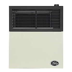 Ashley Hearth Products 11,000 BTU Direct Vent Liquid Propane Wall Mounted Heater with Piezo Lightning, Safety Pilot and Built In Regulator, Cream