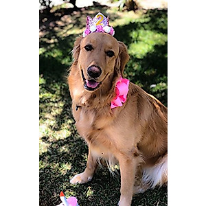 PET SHOW Pink Crown Dog Birthday Party Hat for Girls Reusable Birthday Party Cat Kitten Headband with 0-9 Figures Charms Grooming Accessories with Glue Pack of 1