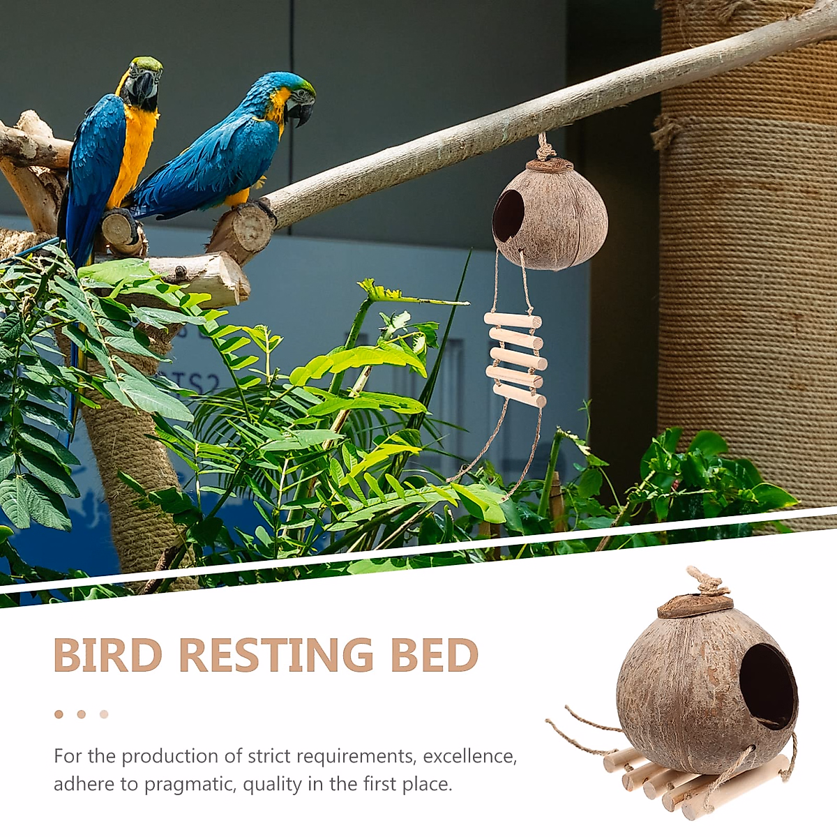 Ipetboom 1 Set Bird Nest Parrot Nest Parrot Bird House Parrot Birdcage Sleeping Bird Bed Decorative Bird House Coconuts Shell Birdcage Decorative Birdcage Resting Bird House Resting Nest