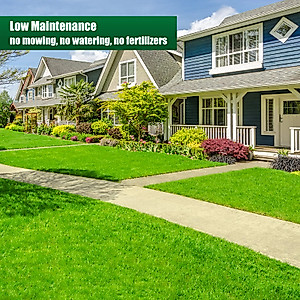 Weidear 0.8 inch Artificial Grass, 4ft 11in x 8 ft Realistic Turf, Indoor Outdoor Artificial Synthetic Grass Rug, Fake Grass Carpet Patio Mat for Dogs Pets/Garden Lawn Landscape, Customized