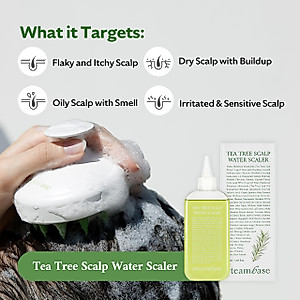 STEAMBASE Tea Tree Scalp Treatment | Purifies and Exfoliates Oily Scalp | Natural BHA & Tea Tree | Removes Odor & Buildup | Hypoallergenic Exfoliator, 8.42 fl oz