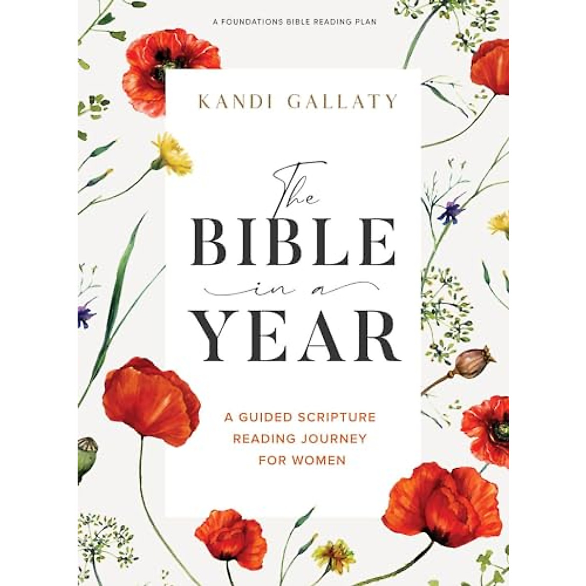 The Bible in a Year - Bible Study Book: A Guided Scripture Reading Journey for Women
