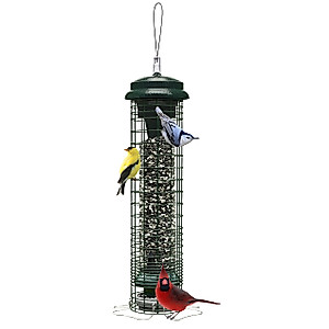Brome Squirrel Solution 150 Squirrel-Proof Bird Feeder, 2.6-Pound Seed Capacity, 4 Seed Ports