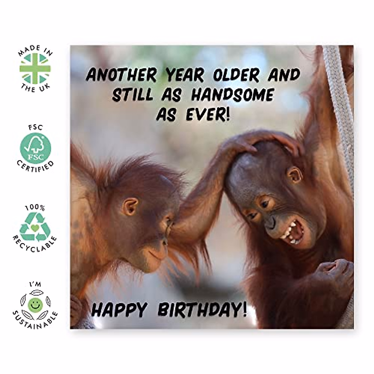 CENTRAL 23 Brother Birthday Card From Sister - Funny Son Birthday Card - Gag Hilarious - Rude Birthday Cards for Men - Gifts For Him - For Uncle Friends Dad - Comes With Fun Stickers