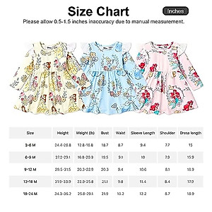 Disney Princess Baby Girls' Dresses Floral Long-Sleeve Ruffled Playwear Dress, Blue, 18-24 Months
