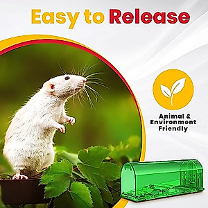 Utopia Home Humane Mouse Traps Indoor for Home (Pack of 2) - Green Reusable Mice Traps for House Indoor - Pet Safe Mouse Trap Easy to Set, Quick, Effective, & Safe Rodent Trap