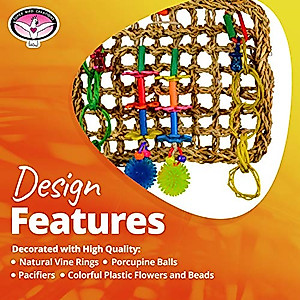 Super Bird Creations SB741 Seagrass Mini Activity Wall Bird Toy, Medium Bird Size, 9” x 7” x 2”